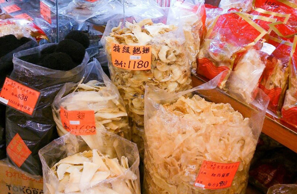 Haifischflossen: Sterben für den Suppentopf • Pro Wildlife