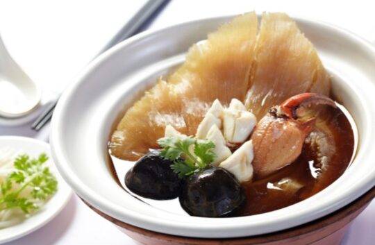 Haifischflossen: Sterben für den Suppentopf • Pro Wildlife