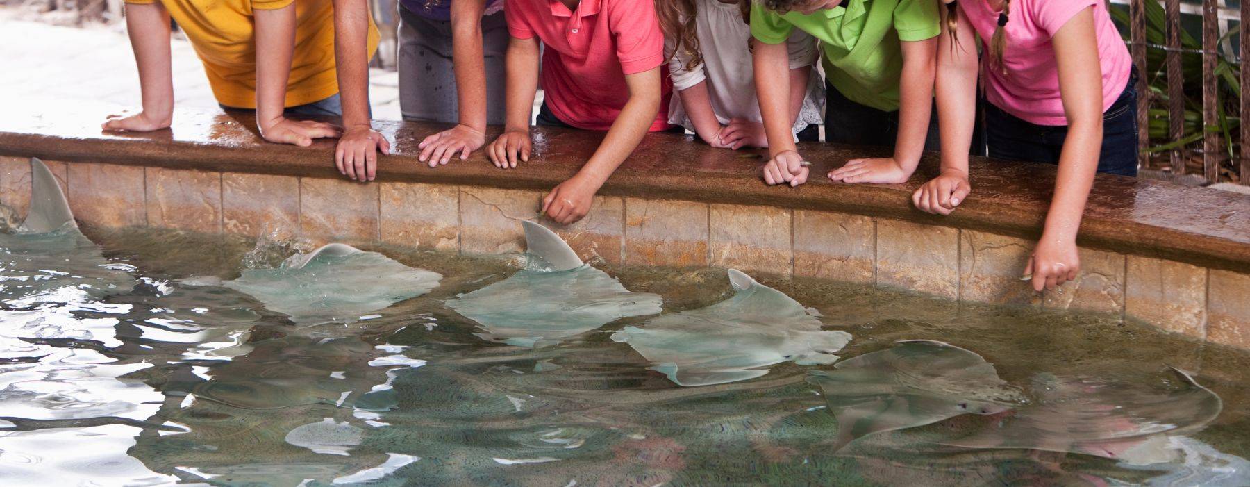 Wie artgerecht sind Zoos? • Pro Wildlife